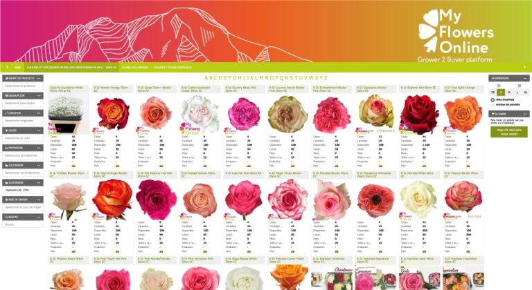 Home - My Flowers